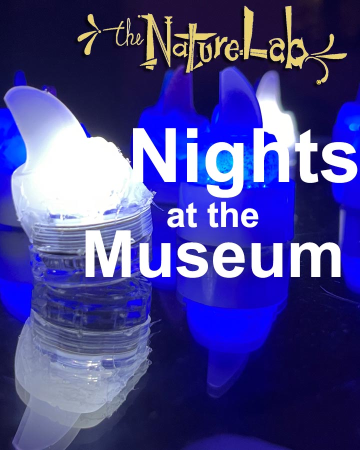 Nights at the Museum – the NatureLab