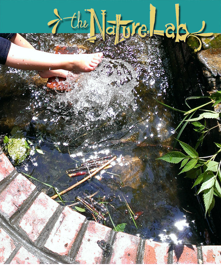 Summer at the NatureLab! (AGES 5-9)