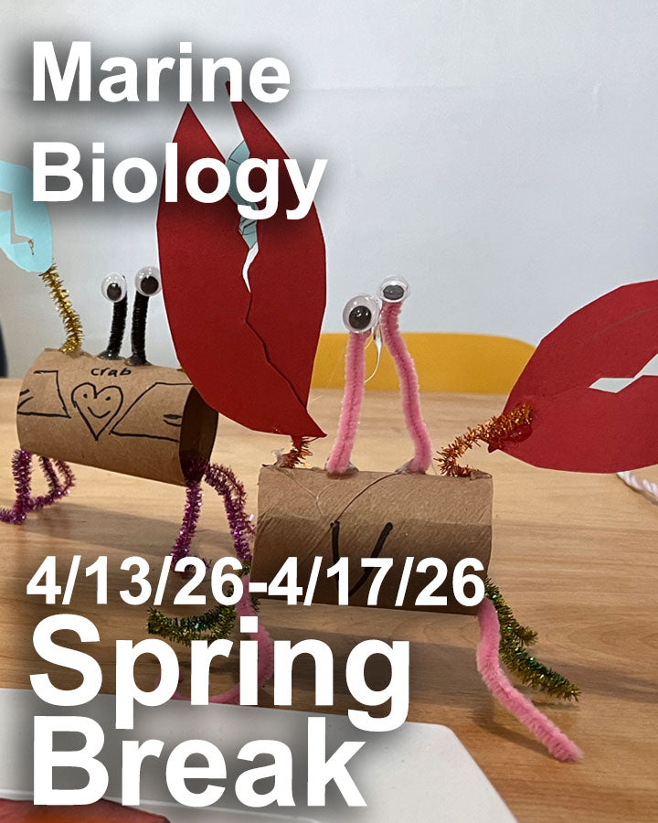 Marine Biology 4/13/26 -4/17/26 Spring Break – the NatureLab