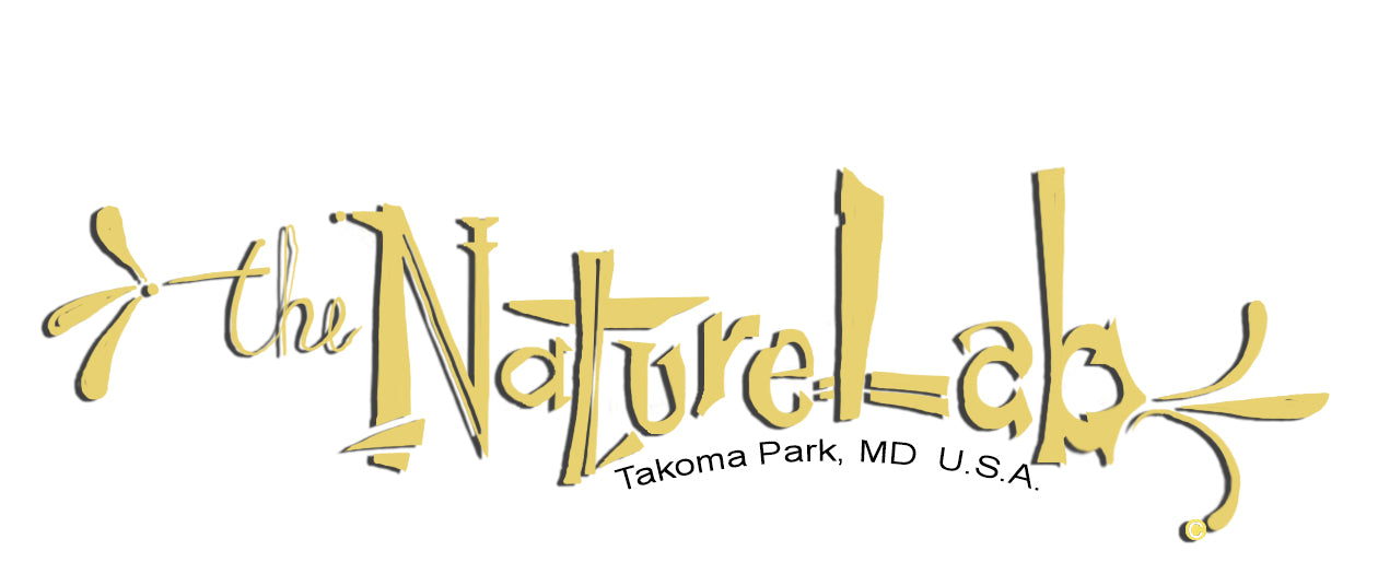 edli, a NatureLab – the NatureLab