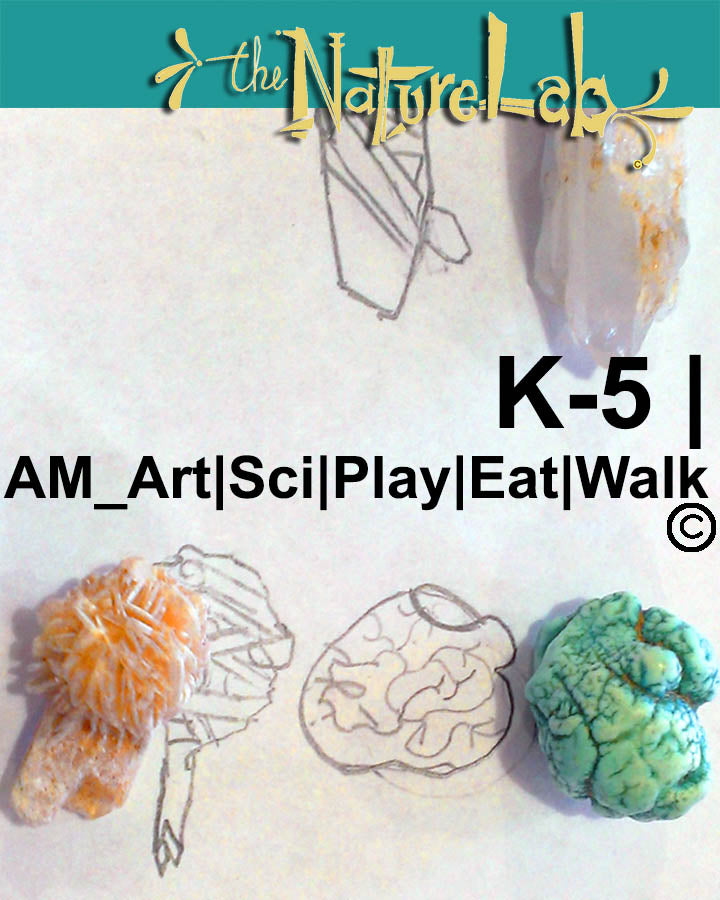 K to 5 Morning Art|Sci|Play|Eat|Walk – the NatureLab