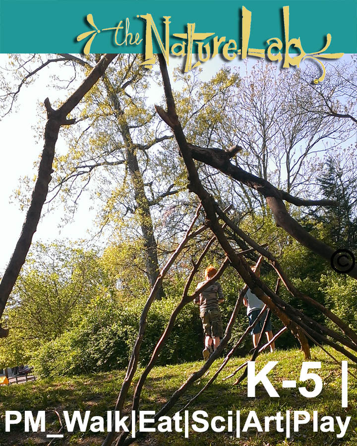 K to 5 Afternoon Walk|Eat|Art|Sci|Play – the NatureLab